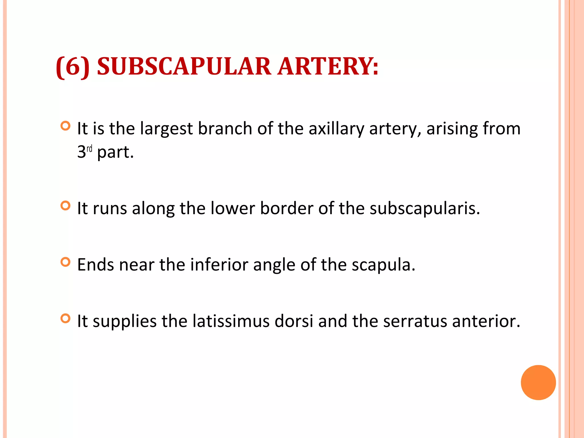 Blood supply of upper limb by Dr-Ismail Khan | PPT