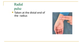 blood supply of upper limb and its clinical anatomy | PPTX
