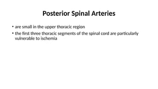Blood Supply of Spinal Cord and its importance.pptx