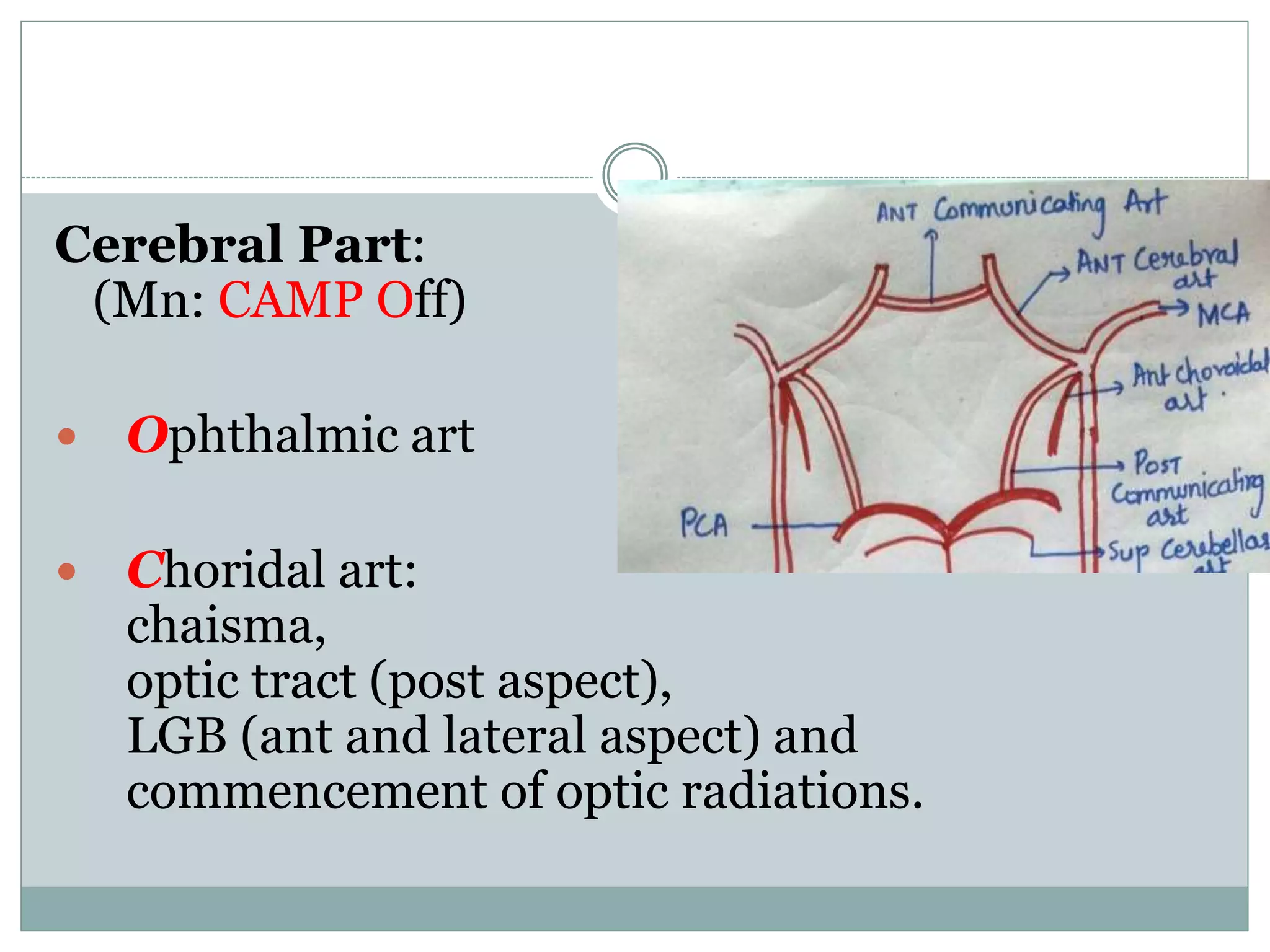 BLOOD SUPPLY OF VISUAL PATHWAY | PPTX