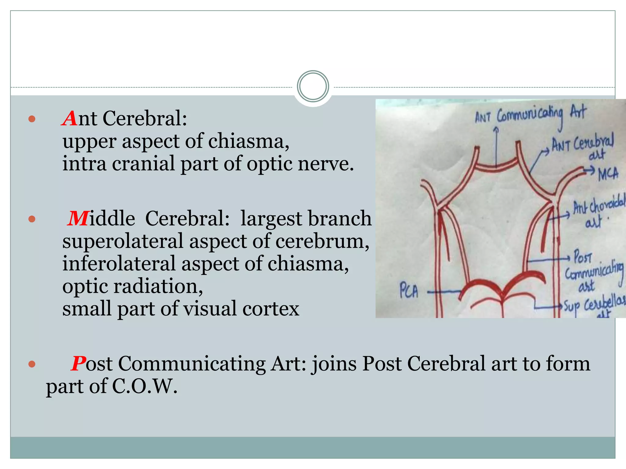 BLOOD SUPPLY OF VISUAL PATHWAY | PPTX