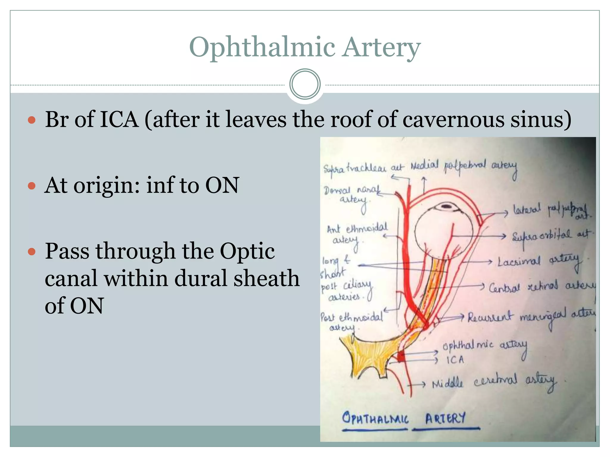 BLOOD SUPPLY OF VISUAL PATHWAY | PPTX