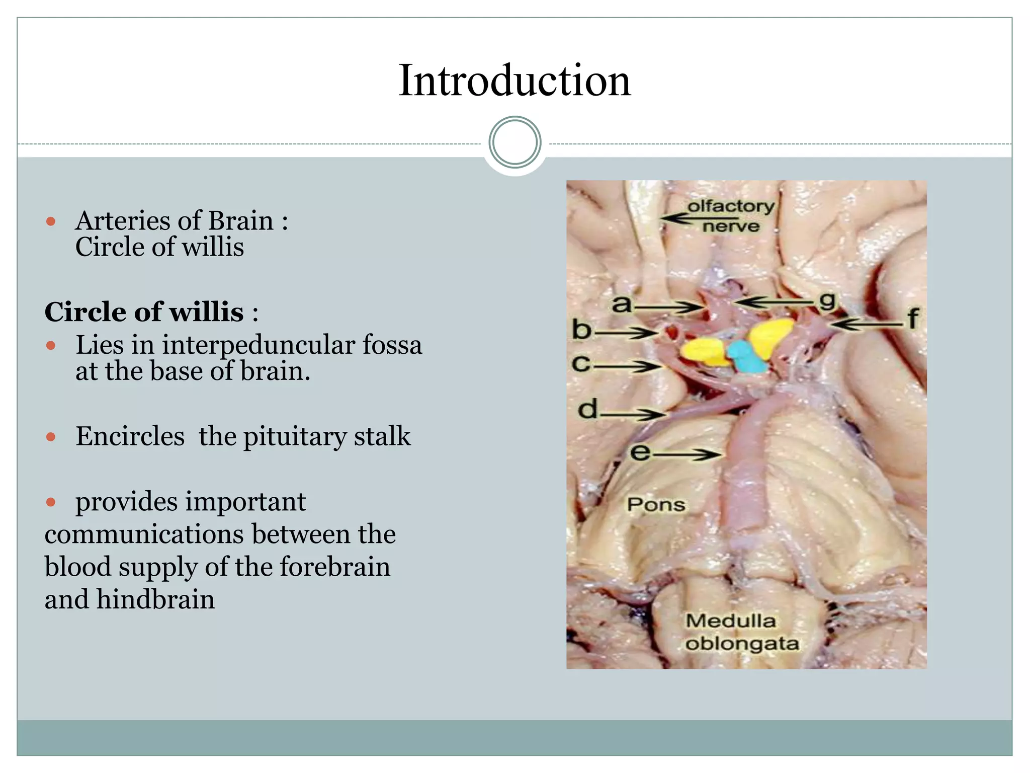 BLOOD SUPPLY OF VISUAL PATHWAY | PPTX