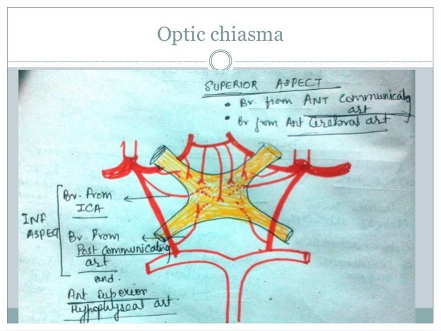 BLOOD SUPPLY OF VISUAL PATHWAY