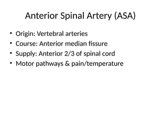 Blood_Supply_Spinal_Cord_MSc_Illustrated-1.pptx