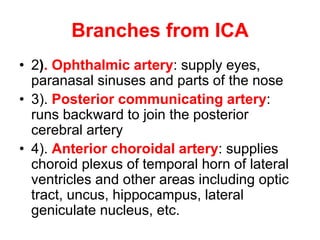 Blood supply to brain | PPT