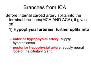 Blood supply to brain | PPT
