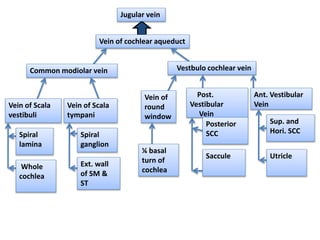 Blood supply to cochlea.pptx