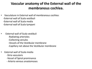 Blood supply to cochlea.pptx