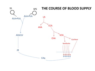 Blood supply to cochlea.pptx