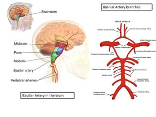 Blood supply to cochlea.pptx