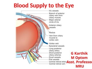 BLOOD SUPPLY TO EYE.pptx BLOOD SUPPLY TO EYE | PPTX