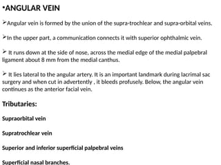 BLOOD SUPPLY TO EYE.pptx BLOOD SUPPLY TO EYE | PPTX | Eye and Vision ...