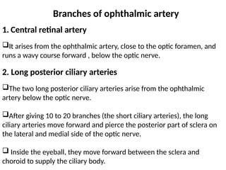 BLOOD SUPPLY TO EYE.pptx BLOOD SUPPLY TO EYE | PPTX