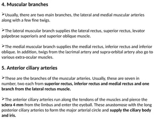 BLOOD SUPPLY TO EYE.pptx BLOOD SUPPLY TO EYE | PPTX | Eye and Vision ...