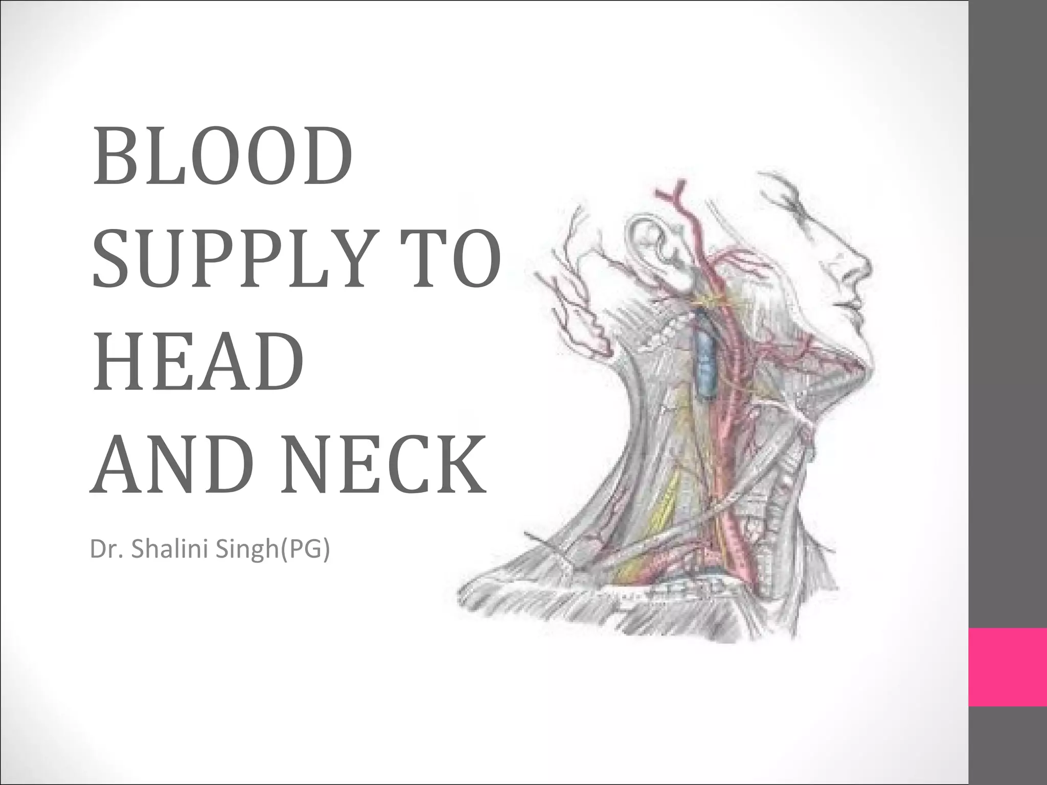 Blood supply to head and neck | PPT