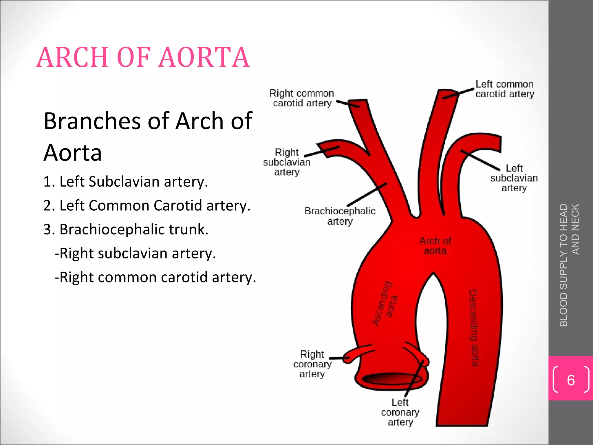 Blood supply to head and neck | PPT