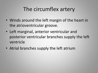 Blood supply to heart | PPTX