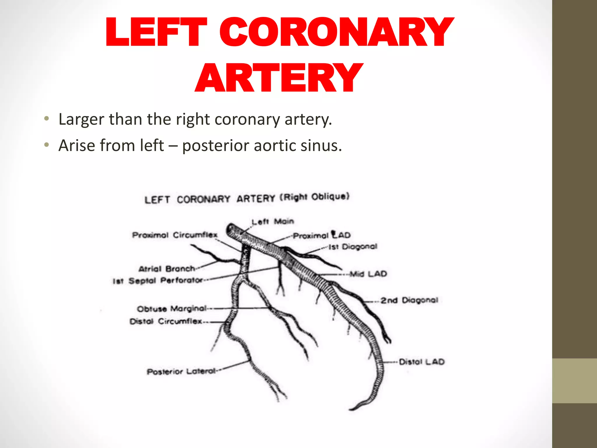Blood supply to heart | PPTX | Heart and Cardiovascular Diseases ...