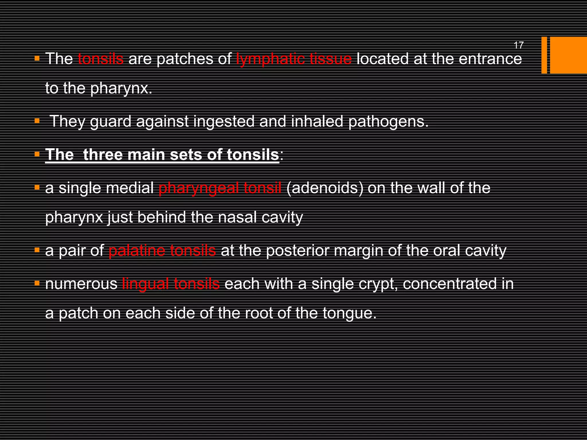 Blood supplyand lymphatic drainage to oral cavity | PPTX