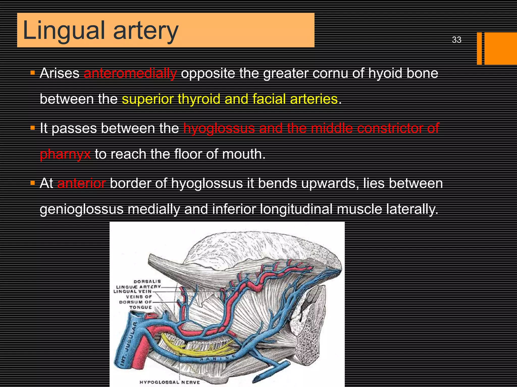 Blood supplyand lymphatic drainage to oral cavity | PPTX