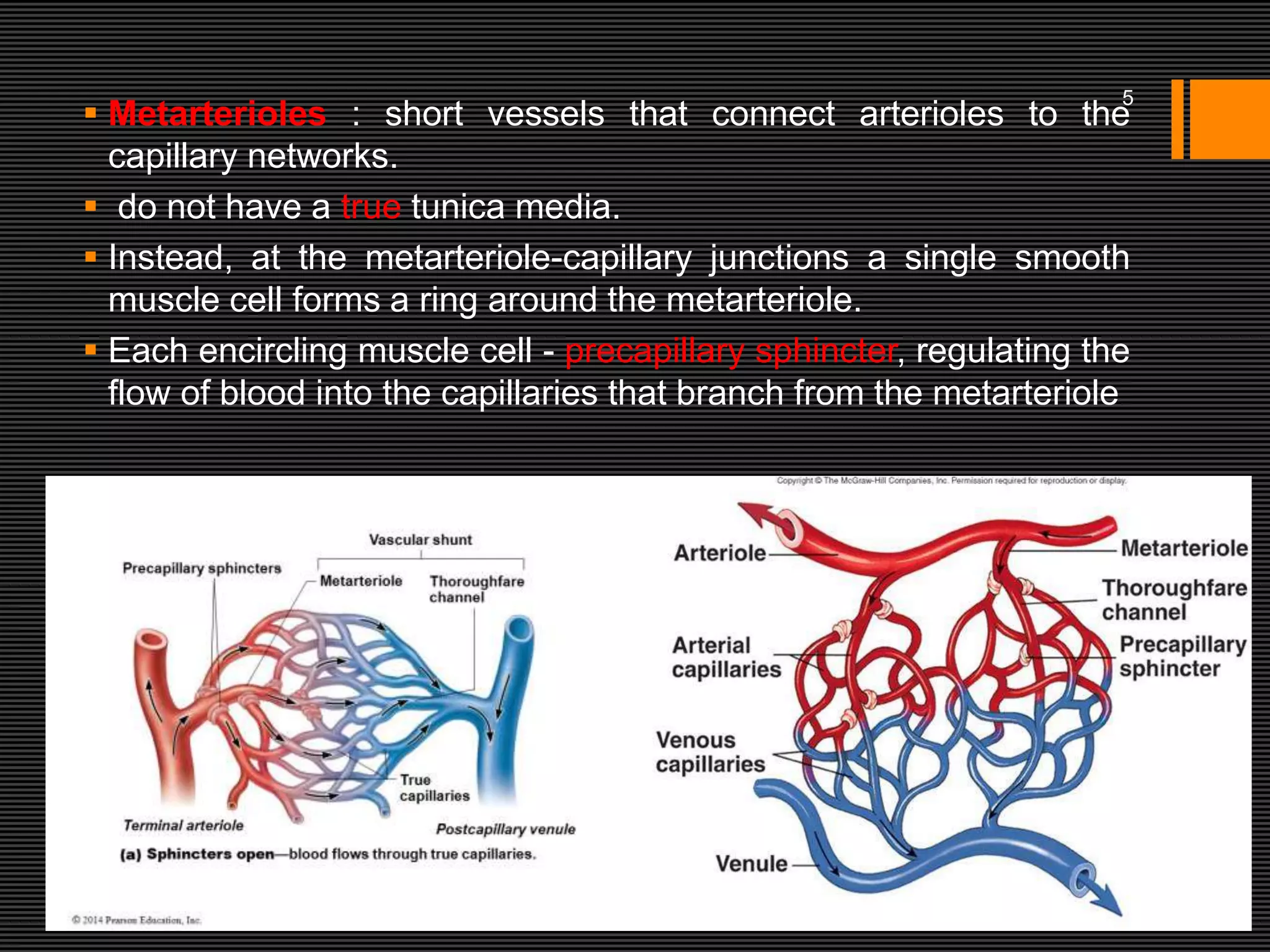 Blood supplyand lymphatic drainage to oral cavity | PPTX