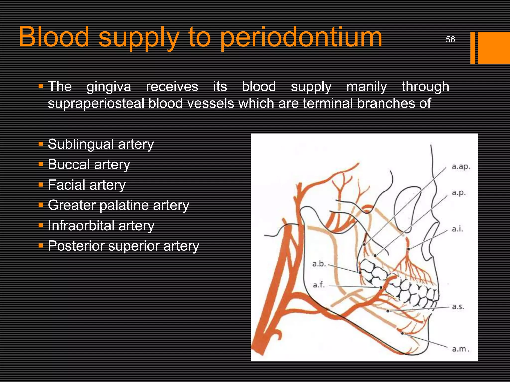 Blood supplyand lymphatic drainage to oral cavity | PPTX