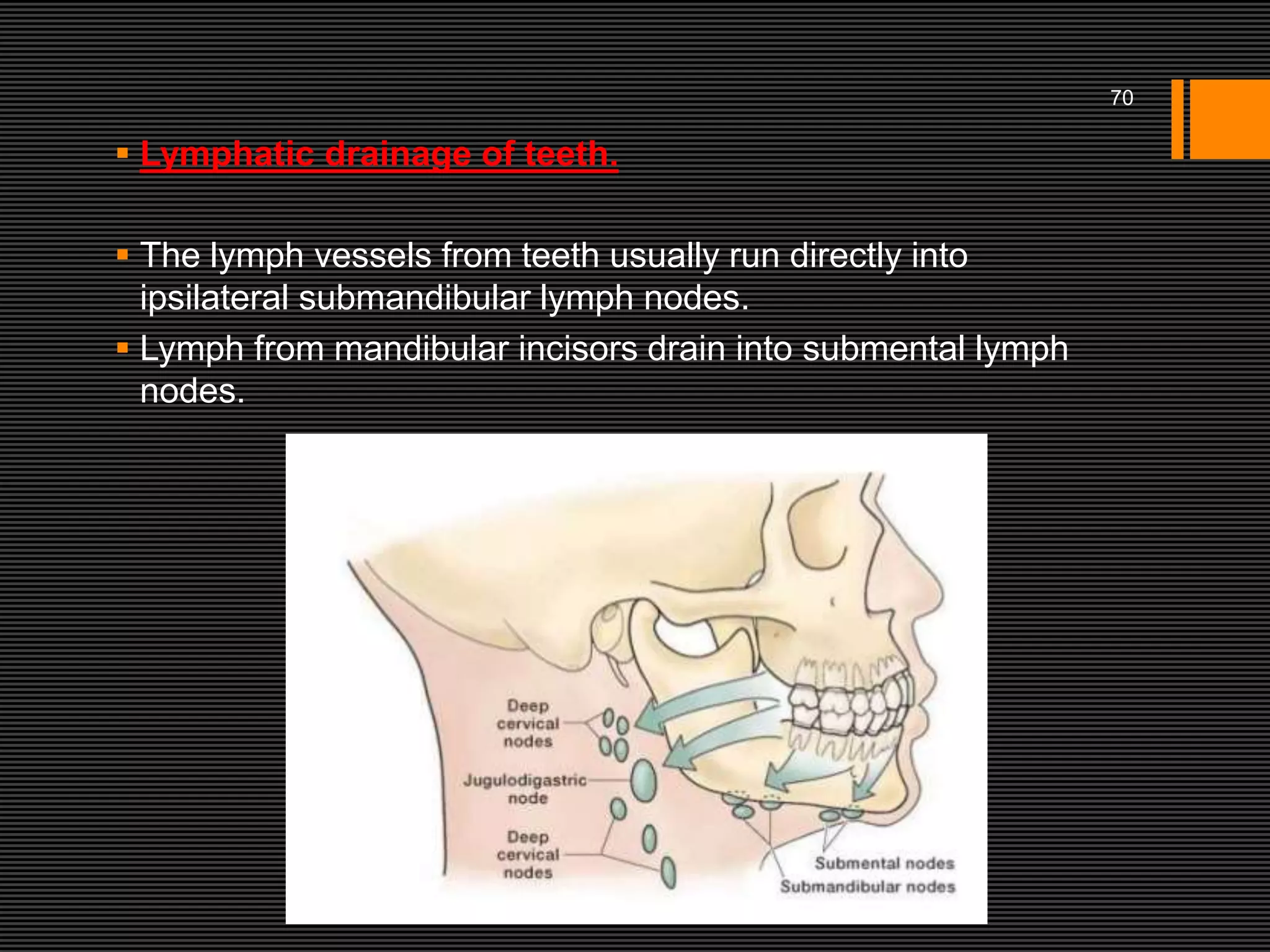 Blood supplyand lymphatic drainage to oral cavity | PPTX