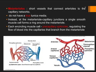 Blood supplyand lymphatic drainage to oral cavity | PPTX