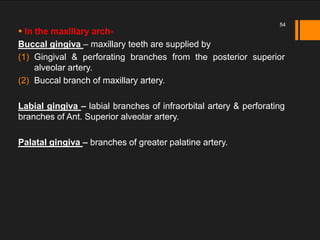 Blood supplyand lymphatic drainage to oral cavity | PPTX