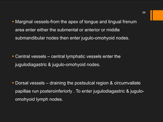 Blood supplyand lymphatic drainage to oral cavity | PPTX