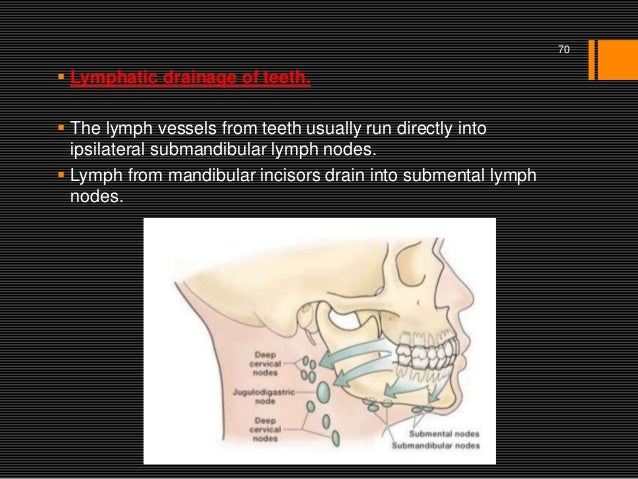 Blood supplyand lymphatic drainage to oral cavity