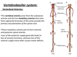 Blood supply to the brain | PPT