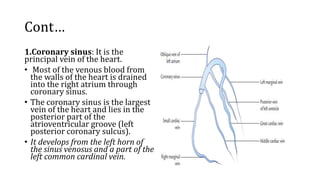 BLOOD SUPPLY TO THE HEART DESCRIBING HEART OXYGENATION | PPT