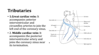 BLOOD SUPPLY TO THE HEART DESCRIBING HEART OXYGENATION | PPT