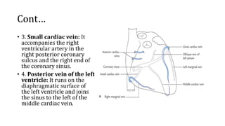 BLOOD SUPPLY TO THE HEART DESCRIBING HEART OXYGENATION | PPTX