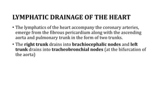BLOOD SUPPLY TO THE HEART DESCRIBING HEART OXYGENATION | PPT