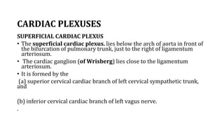 BLOOD SUPPLY TO THE HEART DESCRIBING HEART OXYGENATION | PPT