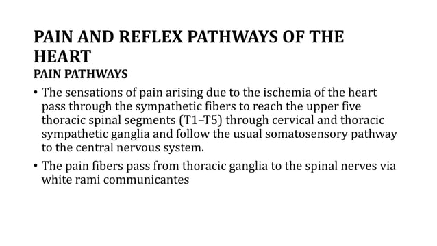 BLOOD SUPPLY TO THE HEART DESCRIBING HEART OXYGENATION | PPT