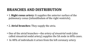 BLOOD SUPPLY TO THE HEART DESCRIBING HEART OXYGENATION | PPT
