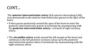 BLOOD SUPPLY TO THE HEART DESCRIBING HEART OXYGENATION | PPT
