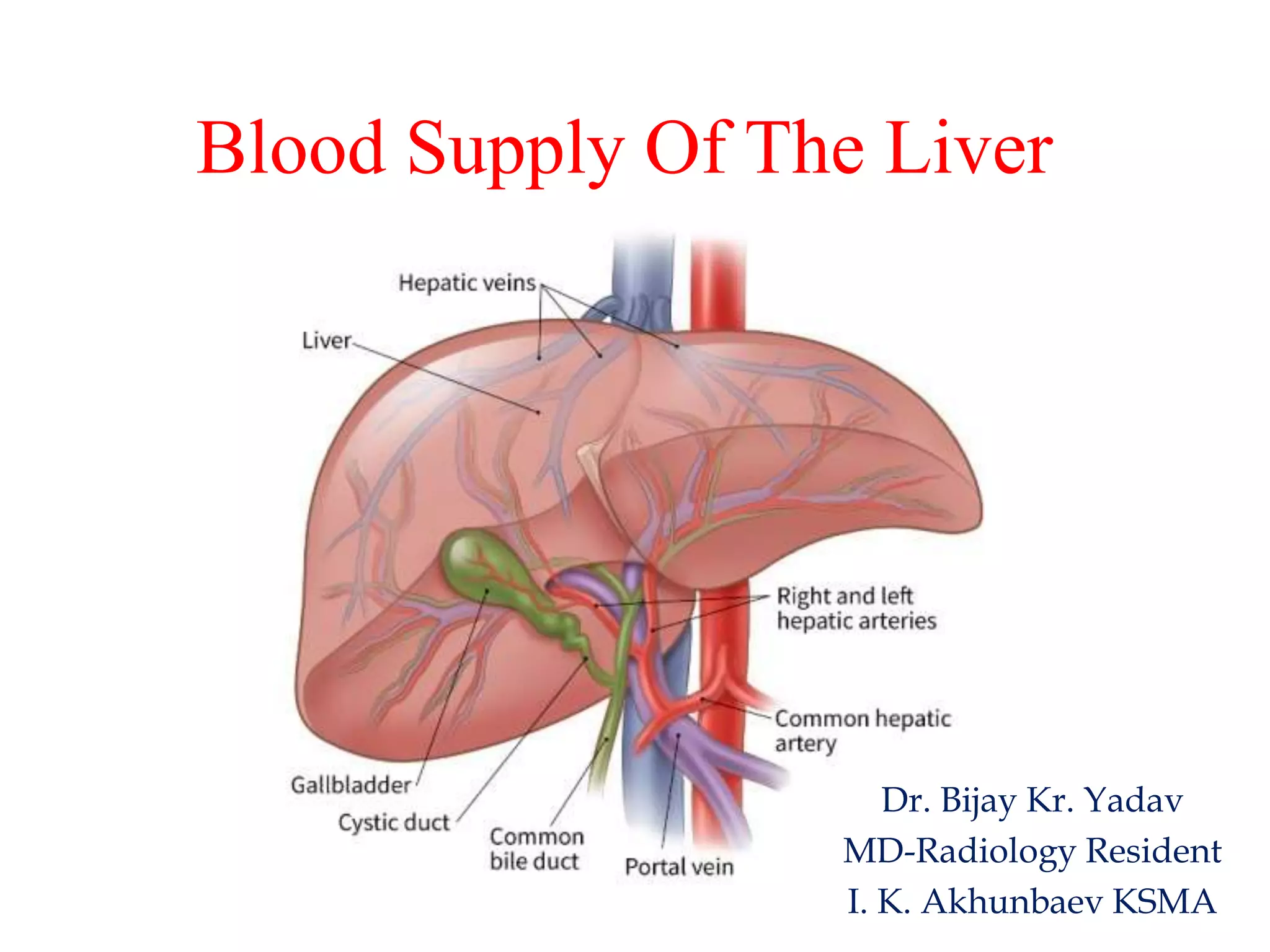 Blood supply of the liver | PPTX