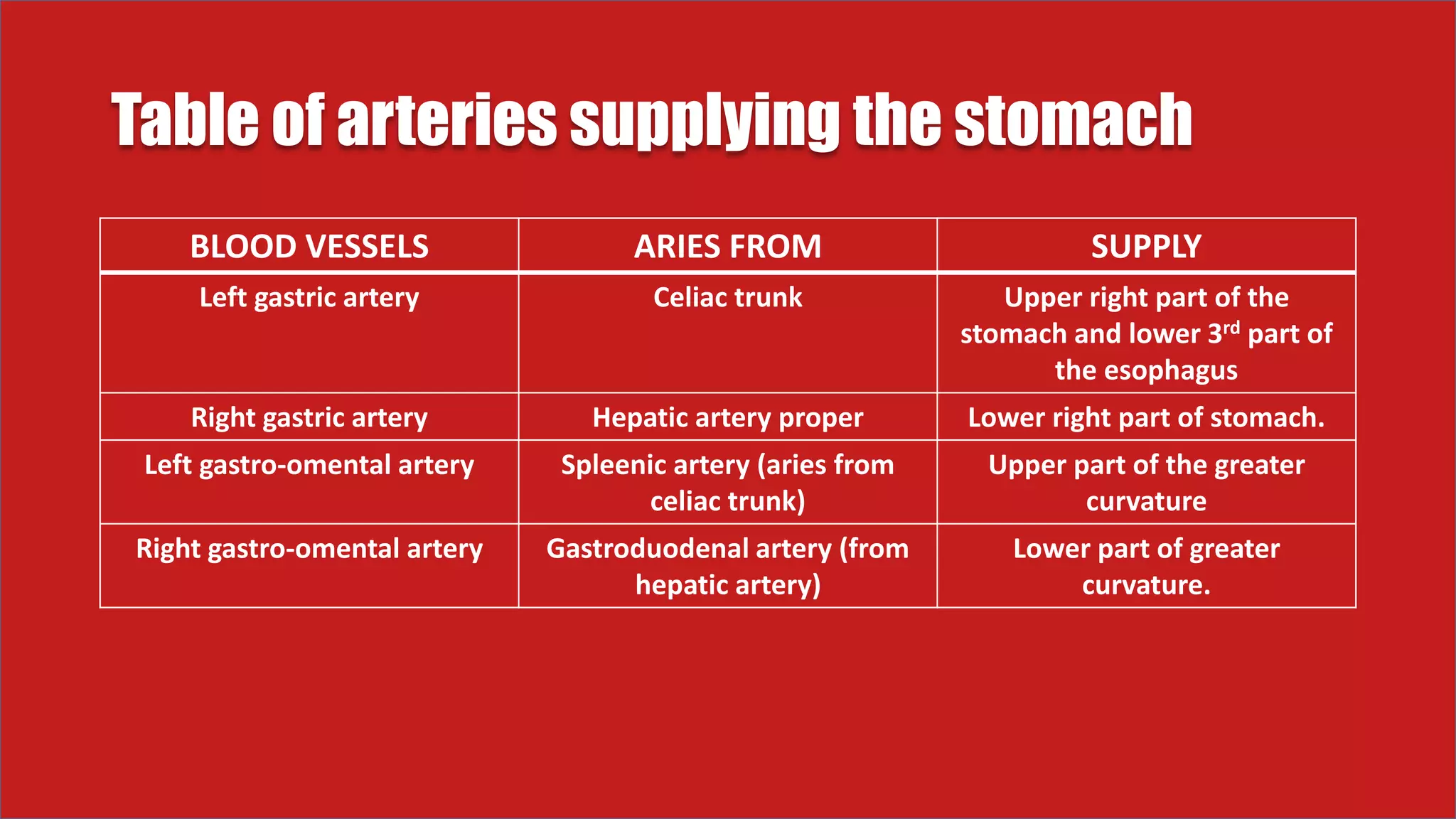 BLOOD SUPPLY TO THE STOMACH AQ.pptx