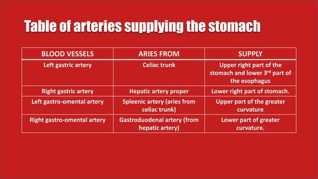BLOOD SUPPLY TO THE STOMACH AQ.pptx