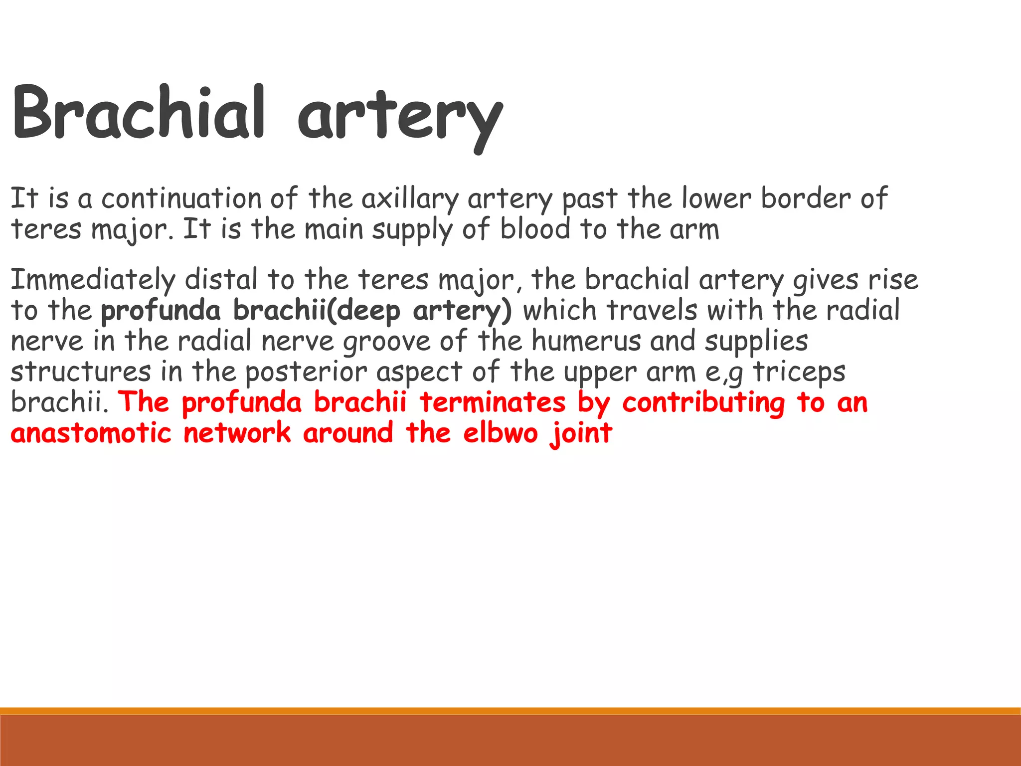 Blood supply to the upper limb | PPTX