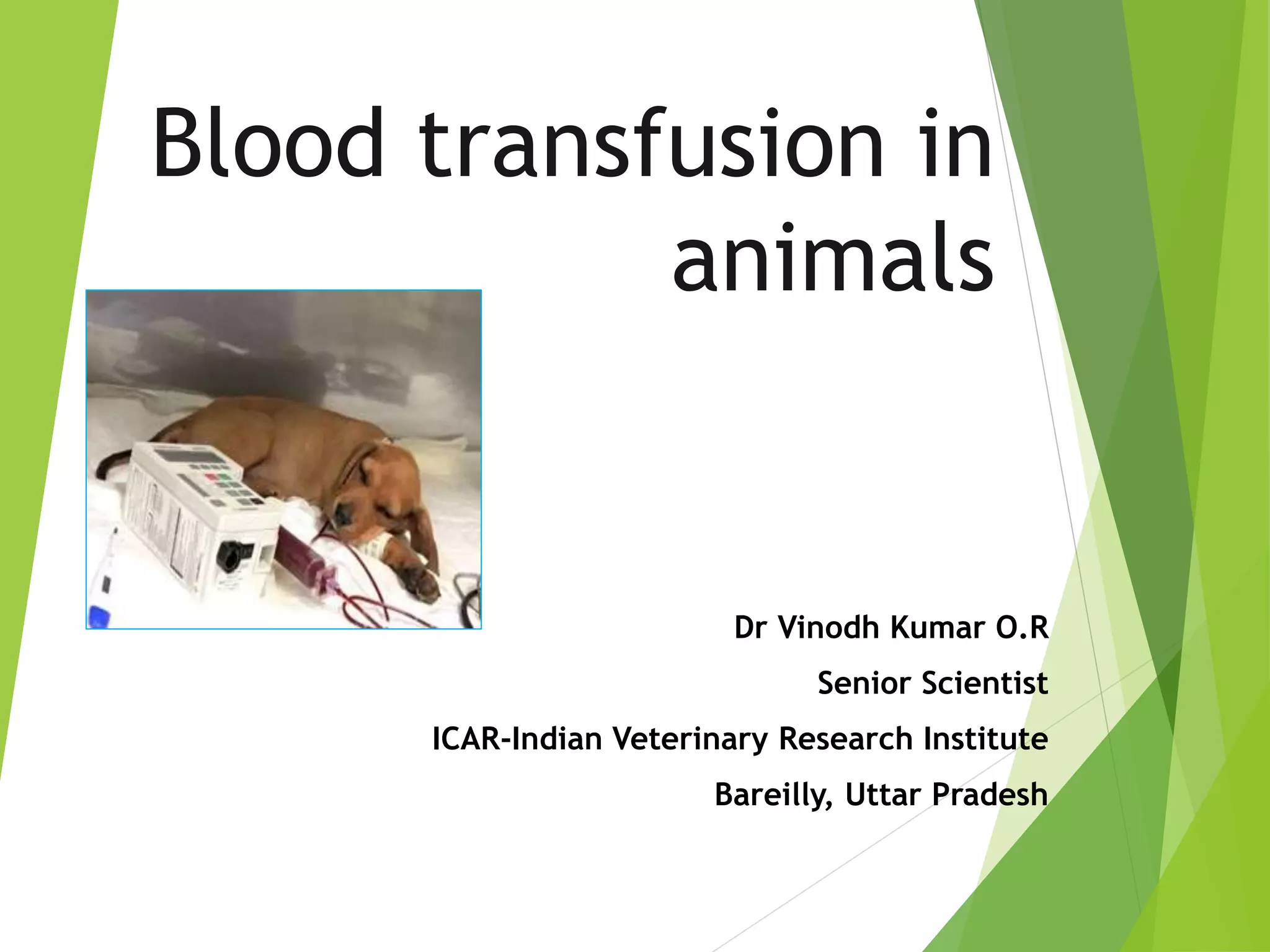 Blood transfusion in animals | PPTX