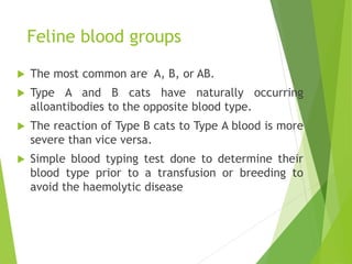 Blood transfusion in animals | PPTX