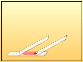 Blood test | PPT