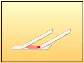 Blood test | PPT