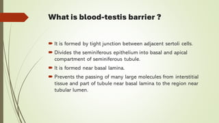 BLOOD TESTIES BARRIER .pdf BY SADIA FHATIMA | PDF